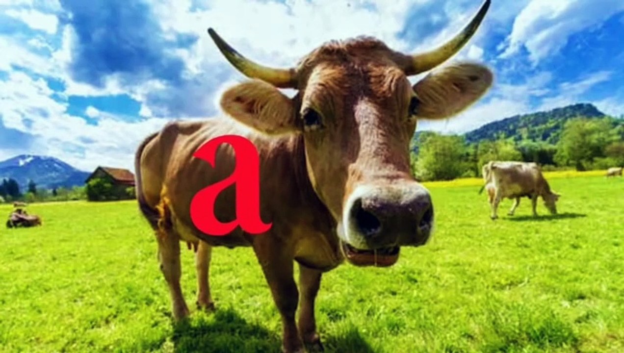 Small Letters of English Alphabet - video Dailymotion