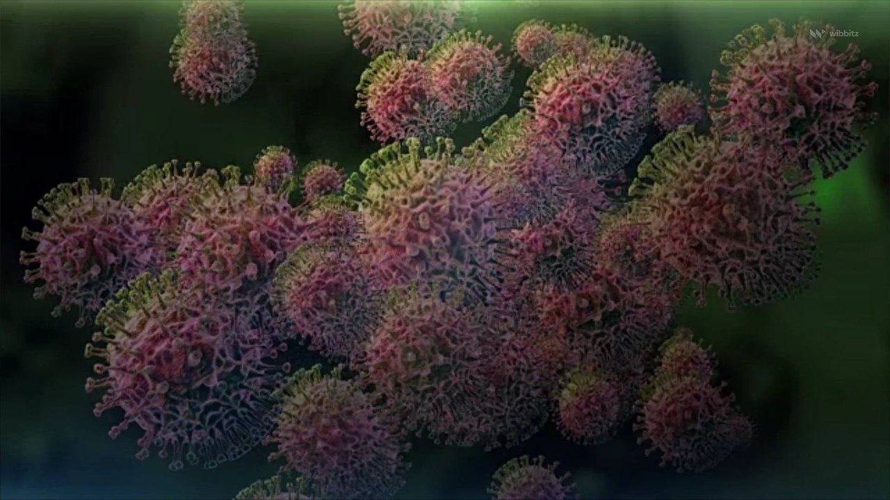 UK Detects First Human Case of New Swine Flu - video Dailymotion