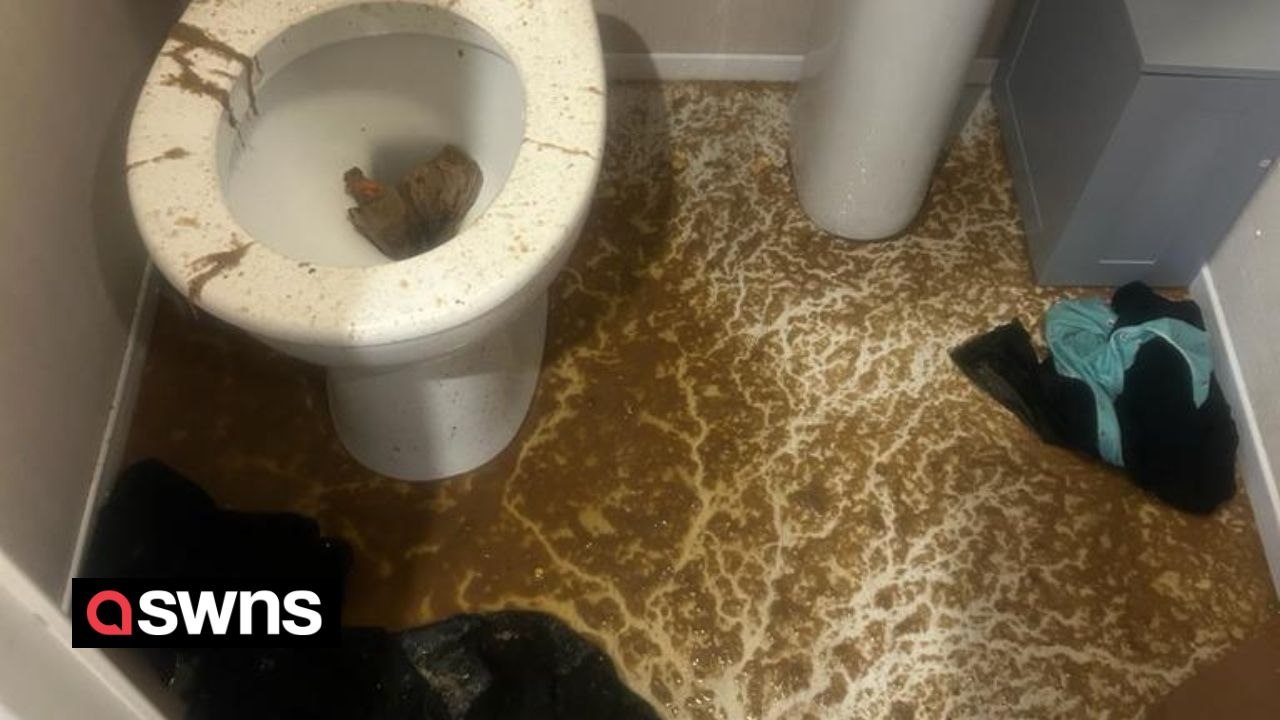 Home filled with poo after sewage spewed out of family's loo - video ...