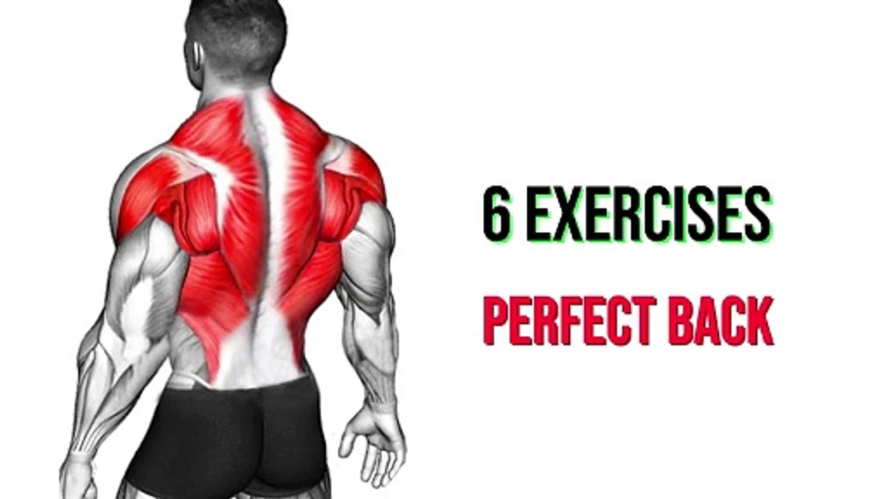 6 Perfect Back Exercises (Fastest) | Back Workout at Gym - video ...