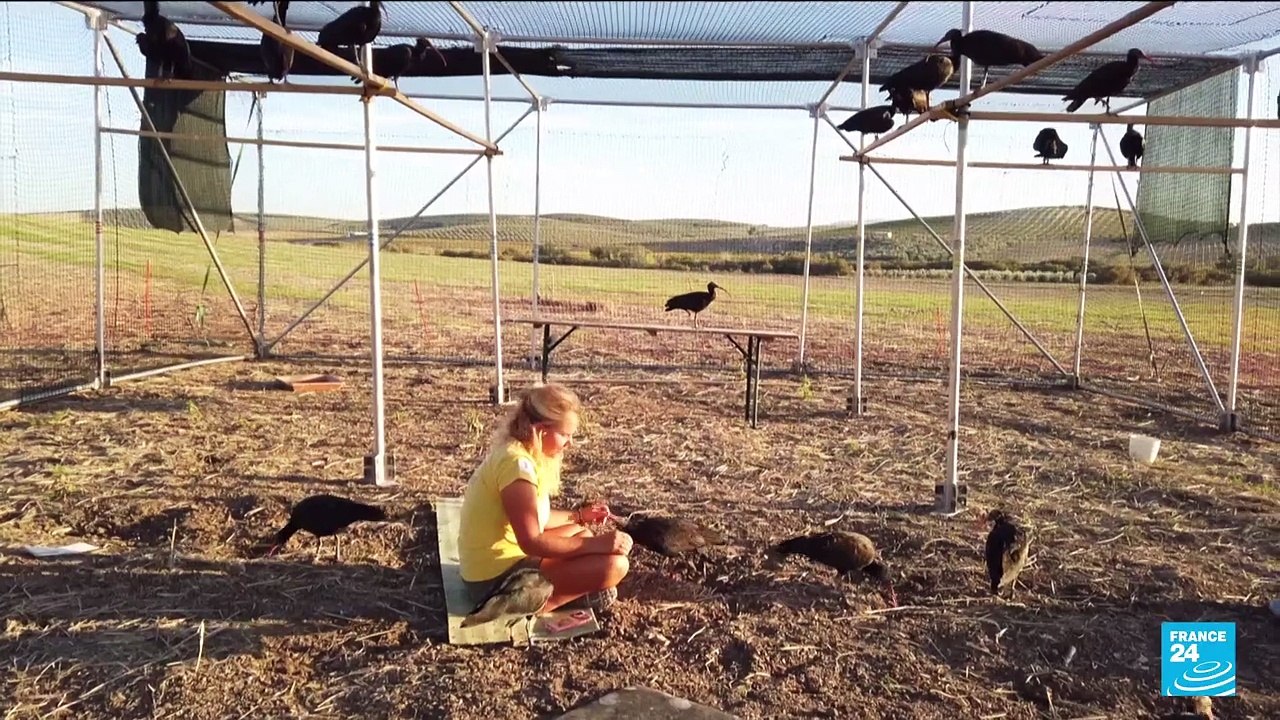 On board two ultralight aircrafts, researchers teach migratory birds a ...