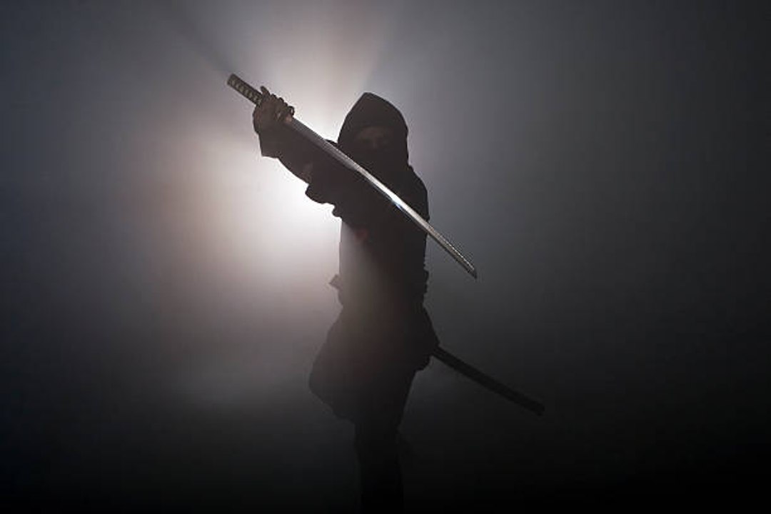 10 Stealthy Facts About Ninjas (International Ninja Day) - video ...