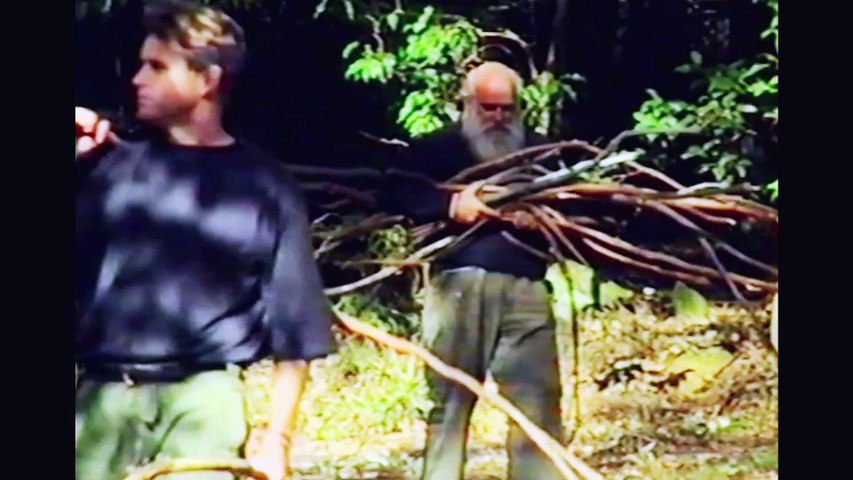 Who was artist Ian Gentle | November 2023 | Illawarra Mercury ...