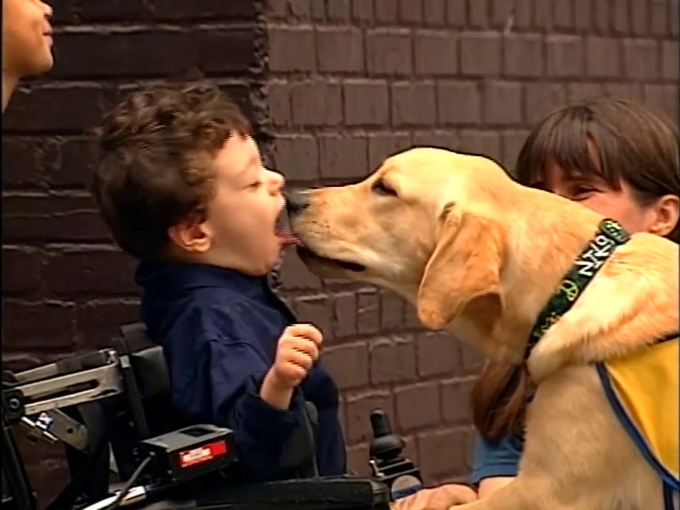 Clifford the Big Red Dog - Real Life Doggie Friends Segment - A The ...