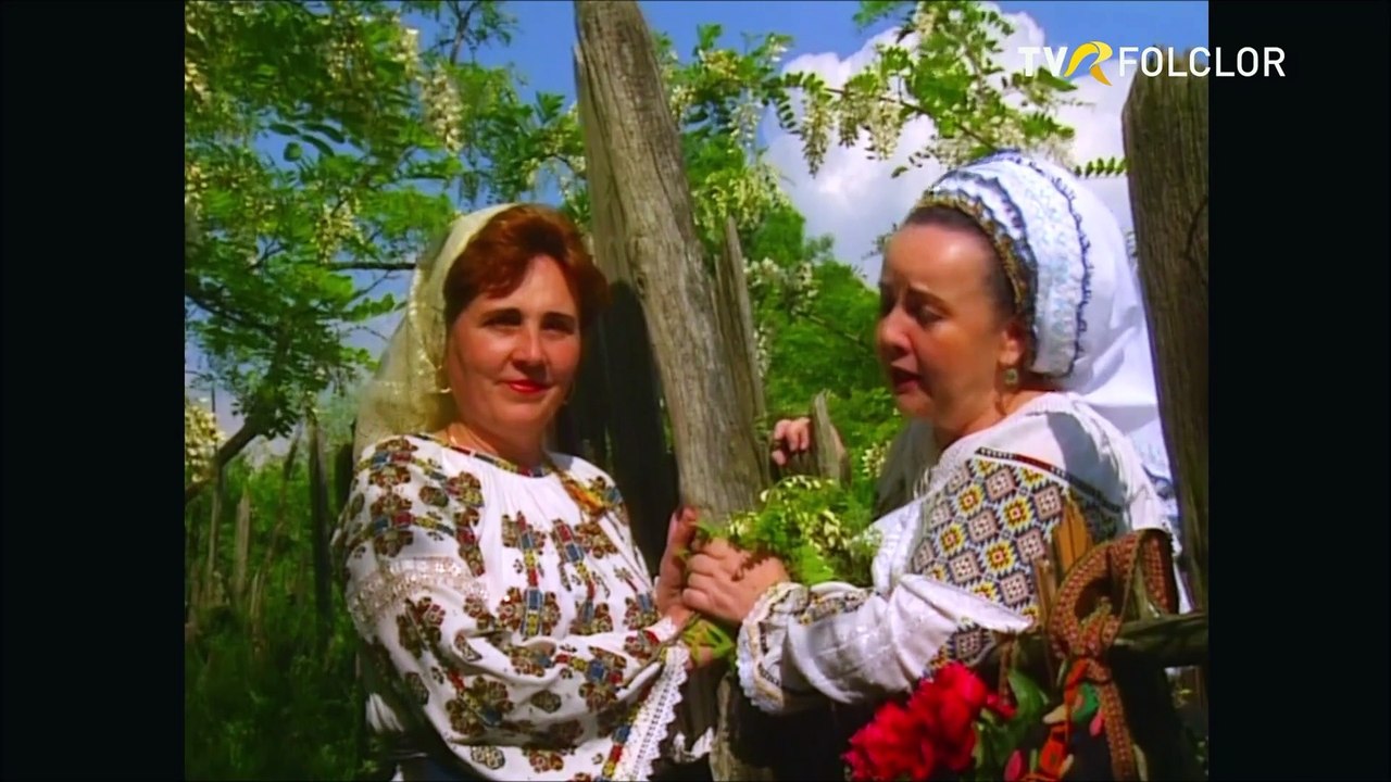 Floarea Calota - Fa, dadica (Arhiva TVR) - video Dailymotion