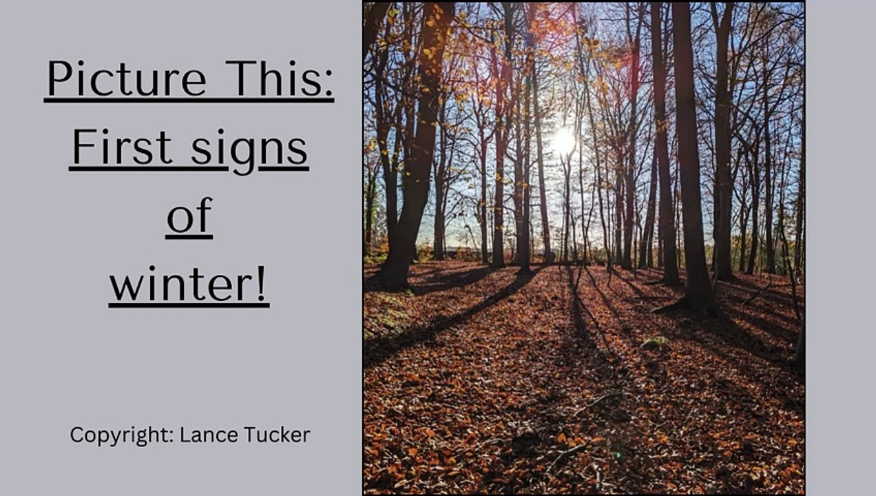 Picture This: First signs of winter! - video Dailymotion