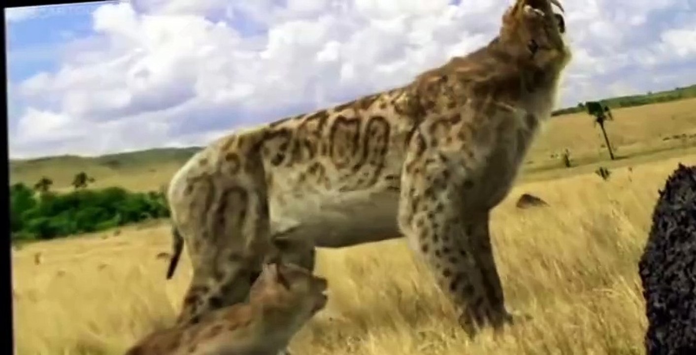 Walking with Beasts Walking with Beasts E005 – Sabre Tooth - video ...