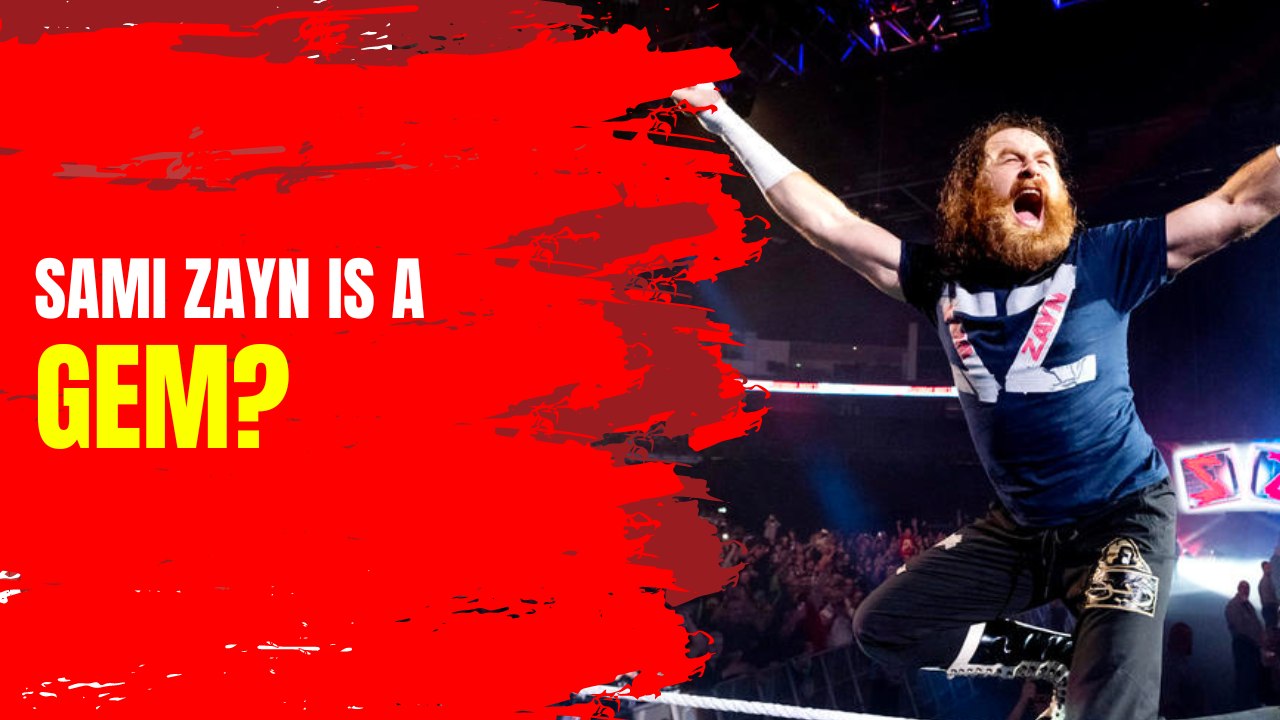 Sami Zayn A Diamond in the rough - video Dailymotion