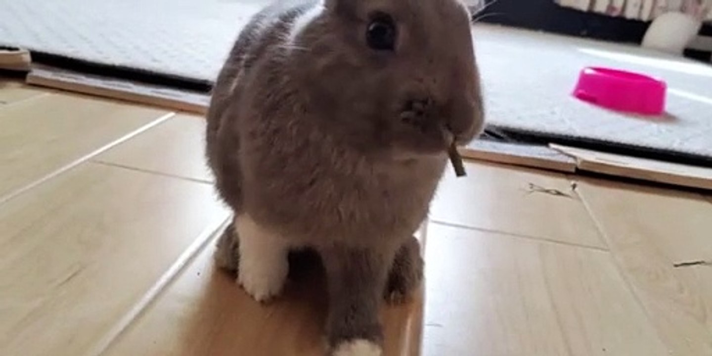 Eva Blume - In Blume Part 1 (2023) - video Dailymotion