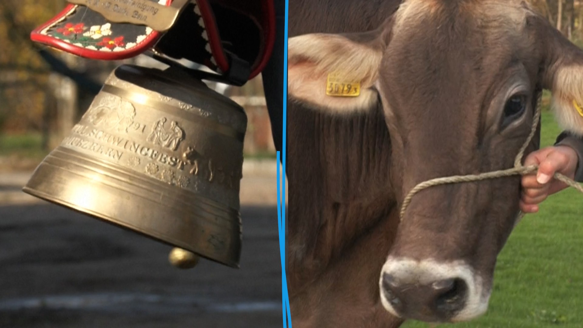 Sauvé Par Le Cri De La Cloche