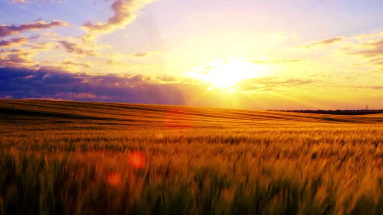 -The-Last-Chapter-Movie-Trailer 2023_2024 - video Dailymotion