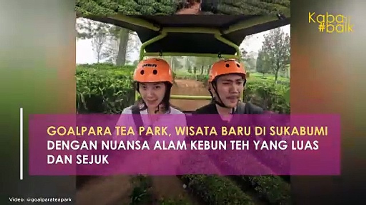 GOALPARA TEA PARK, WISATA BARU DI SUKABUMI DENGAN NUANSA ALAM KEBUN TEH YANG LUAS DAN SEJUK ...