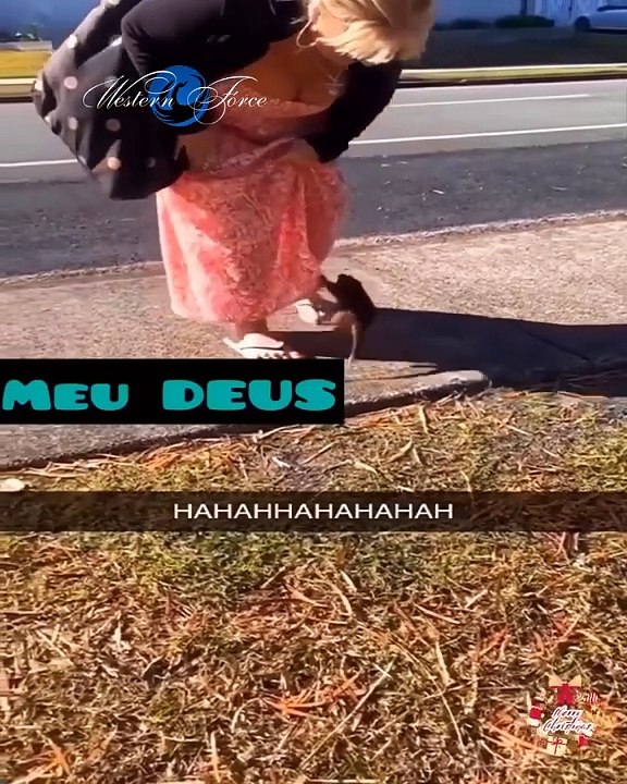 funny clips - video Dailymotion