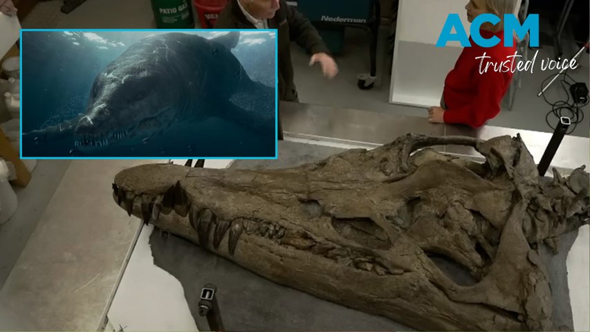 Two metre skull of prehistoric 'sea monster' found on UK beach | The ...