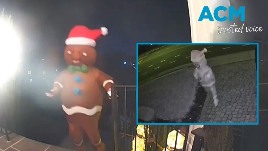Creepy Gingerbread Man caught making unwanted house call! | The ...