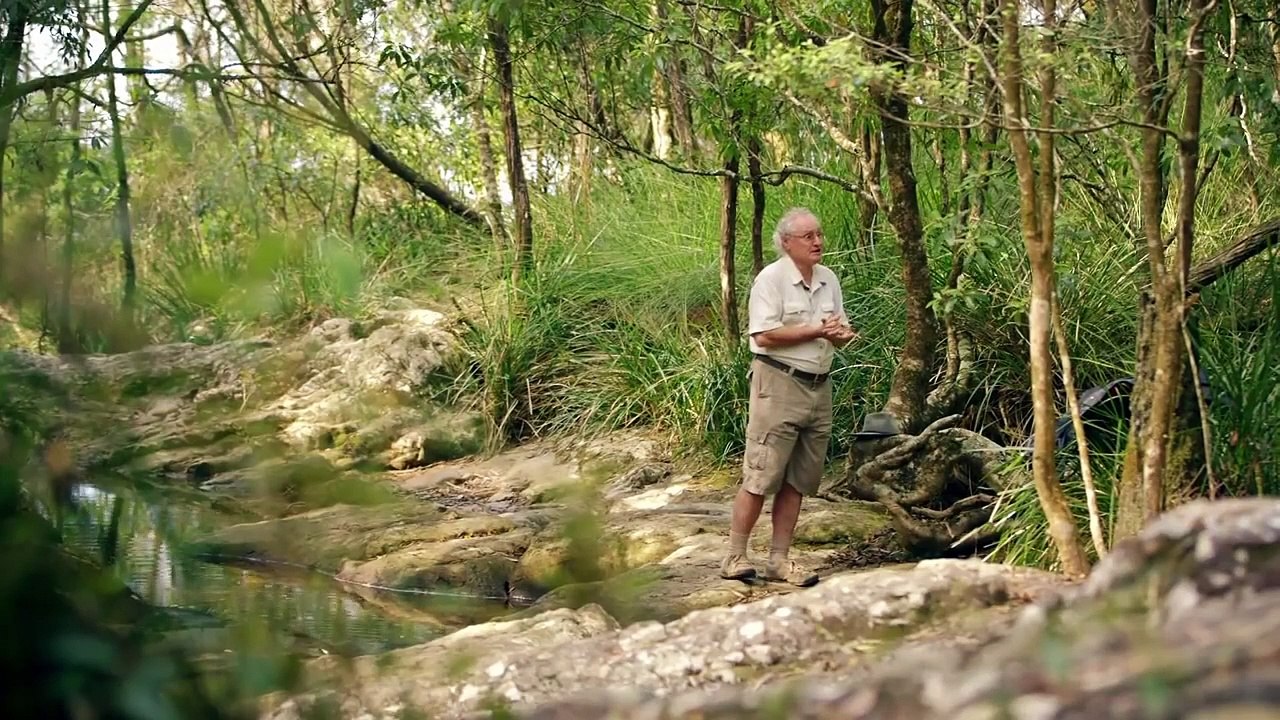 Yowie Mystery Of The Australian Bigfoot Full Documentary Video 3898