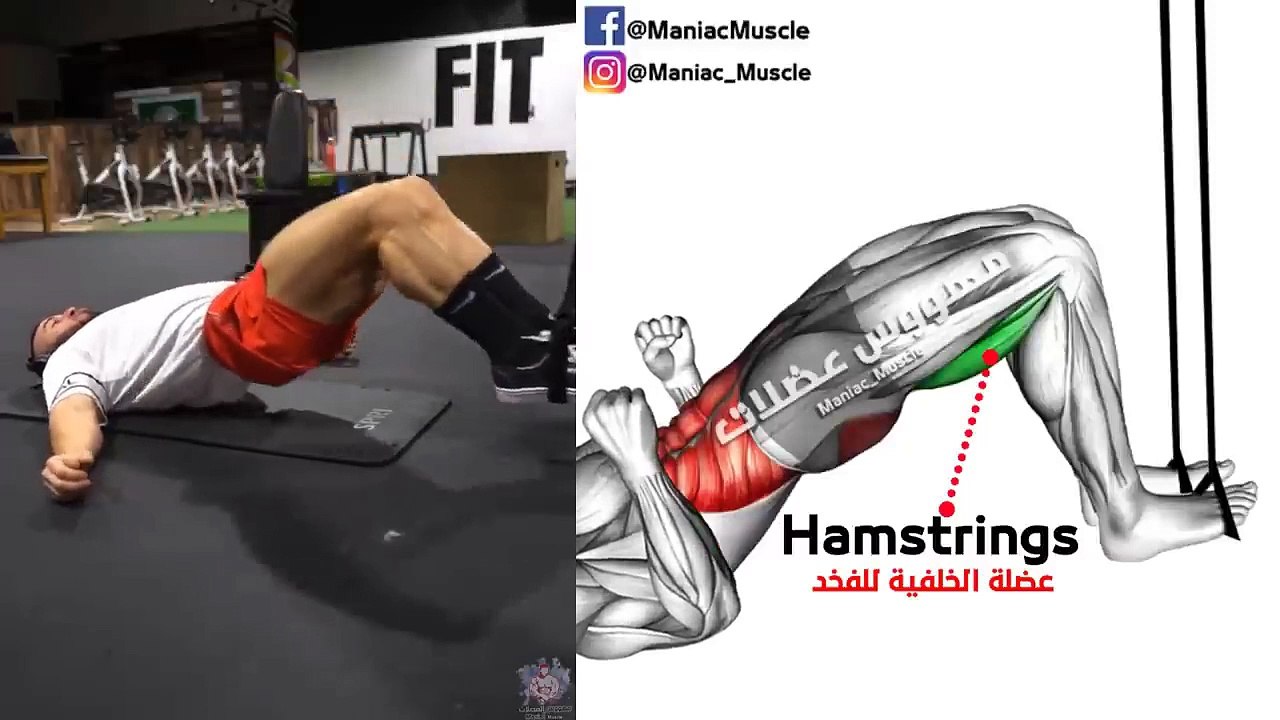 Best Exercise hamstring Workout _ Don't Skip It Never !! - video ...