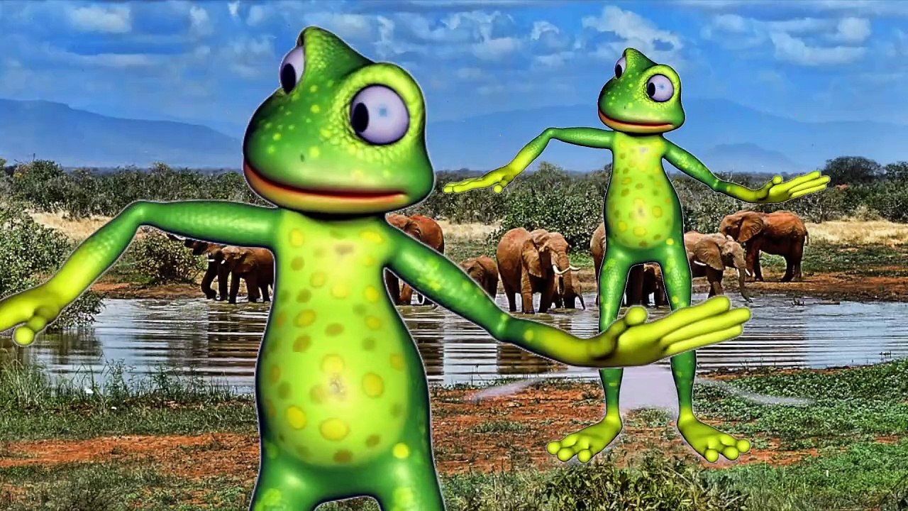Dancing Frogs Entertain Elephants - video Dailymotion