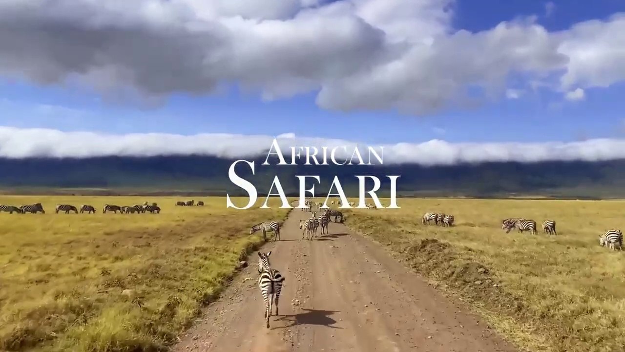 African Safari - Amazing Wildlife of African Savanna - video Dailymotion