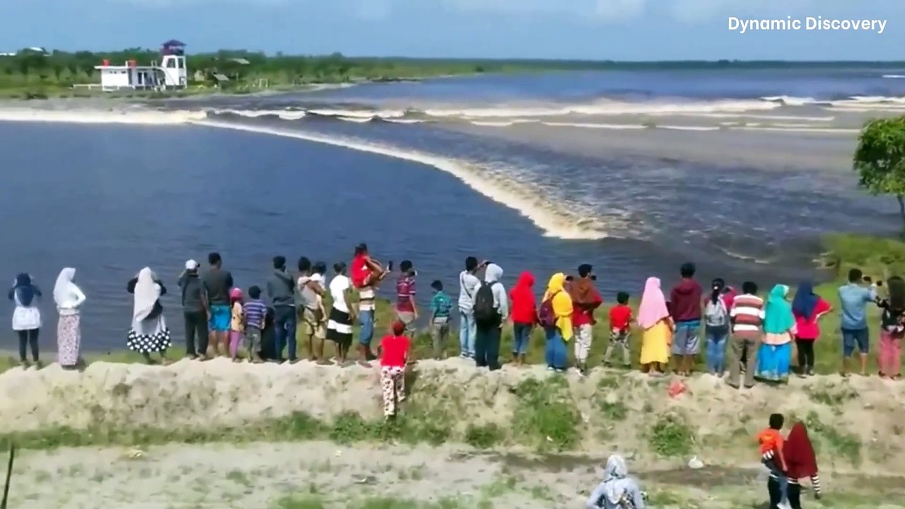 When Humans Mess with Mother Nature: Karma Compilation"! - video ...