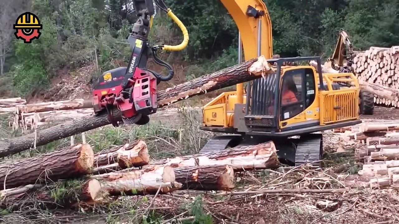 Amazing Fastest Cutting Tree Excavator Machines, Powerful Logging Truck ...