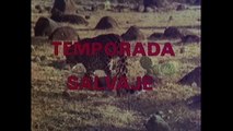 El Jeremias - Pelicula Mexicana Completa - Vídeo Dailymotion