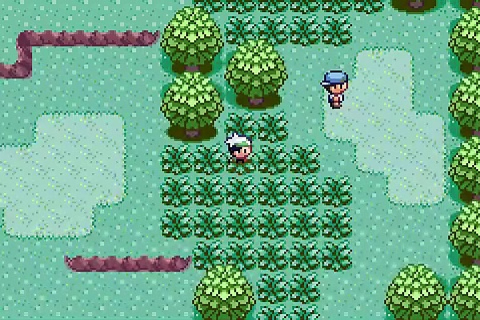 Sprite De Personnage Pokemon émeraude