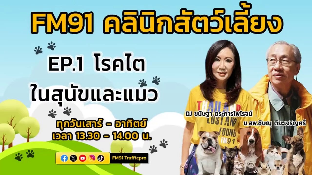 โรคไตในสุนัขและแมว EP.1 : FM91 คลินิกสัตว์เลี้ยง : 23 มีนาคม 2567 - video Dailymotion