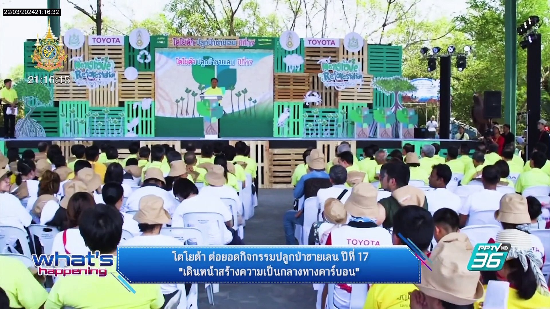 โตโยต้า ต่อยอดกิจกรรมปลูกป่าชายเลนปีที่ 17 : PPTVHD36