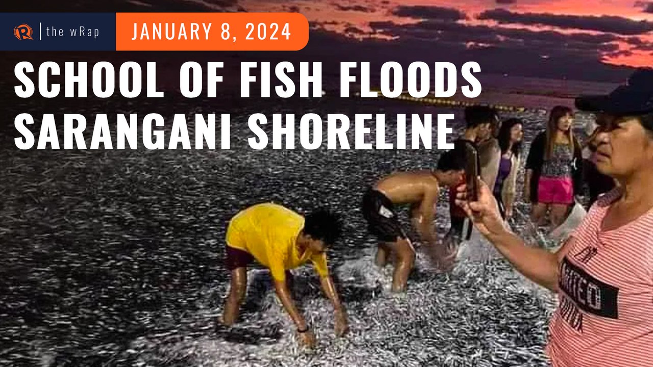 A blessing? School of fish floods shoreline of Sarangani resort - video ...