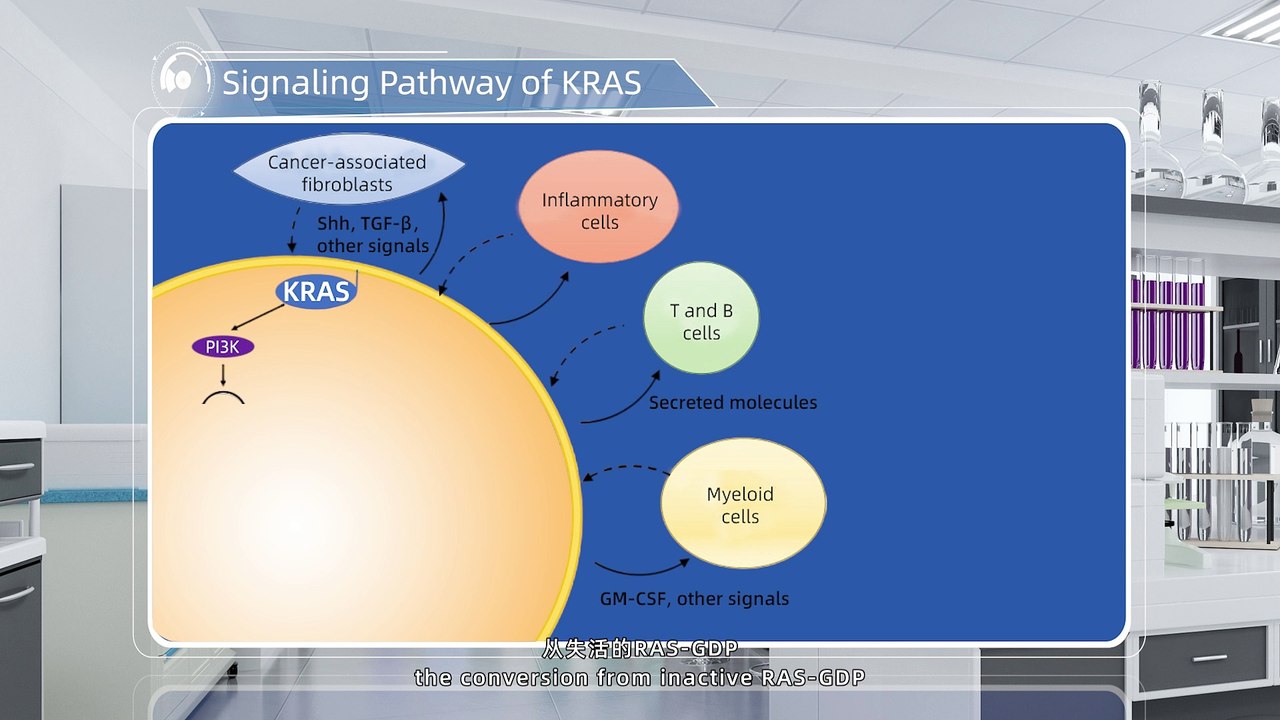 Signaling Pathway of KRAS─影片 Dailymotion