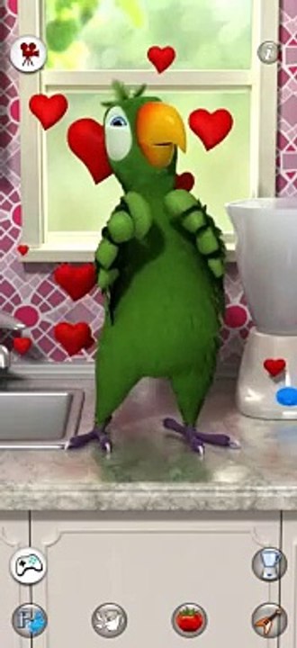 Talking Pierre the Parrot ll Konuşan Pierre Papağanı - video Dailymotion