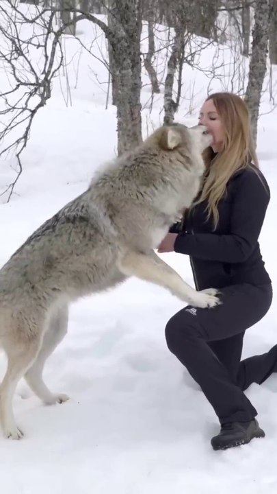 GIRL HOWLS WITH GIANT WOLVES - video Dailymotion