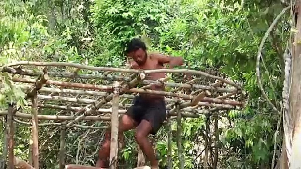 Bushman Building The Greatness Jungle Leaf House - video Dailymotion