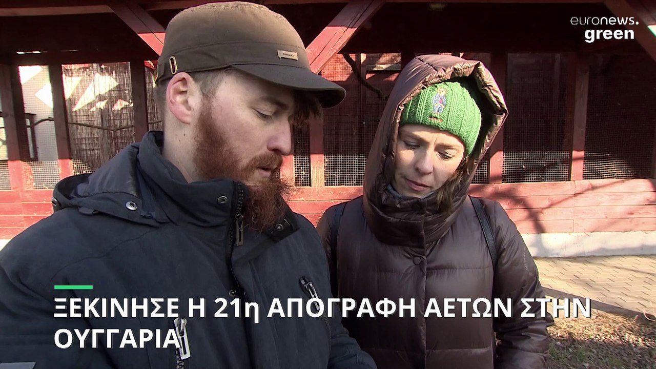 Ξεκίνησε η 21η απογραφή αετών στην Ουγγαρία - video Dailymotion