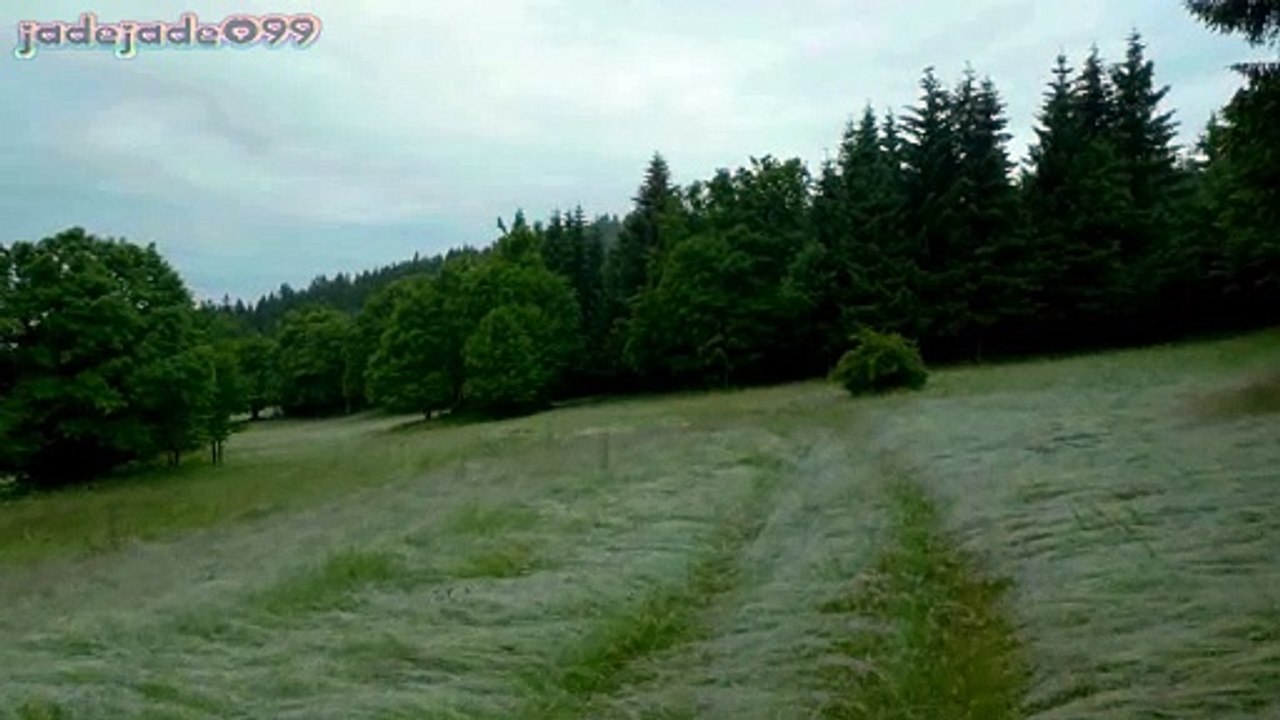 Ember's Ghost Squad - Discovery - video Dailymotion