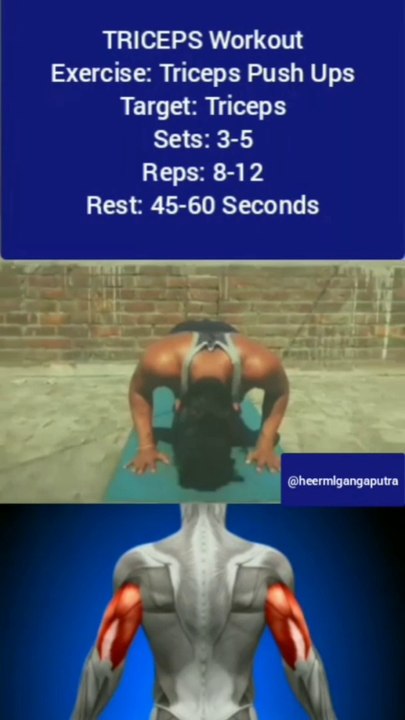 TRICEP PUSH UPS ️ Best TRICEPS Exercise at Home #heermlgangaputra # ...
