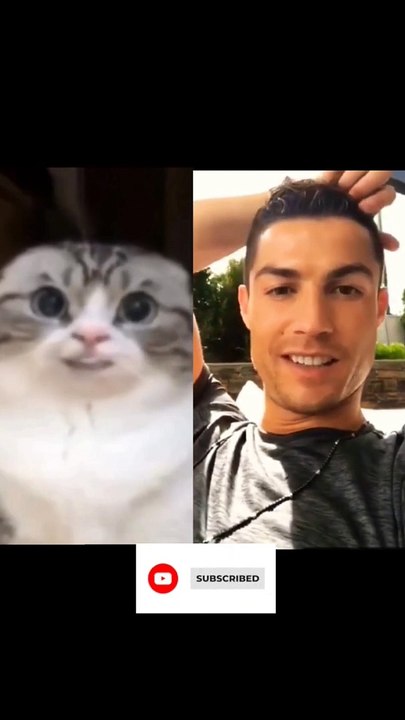 Cristiano Ronaldo Reacts a Cat #shorts - video Dailymotion