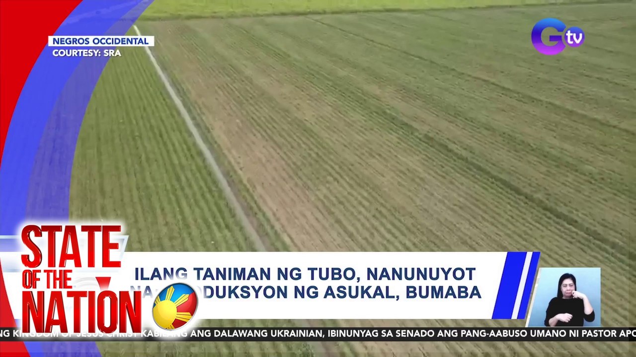 Ilang taniman ng tubo, nanunuyot na; produksyon ng asukal, bumaba ...