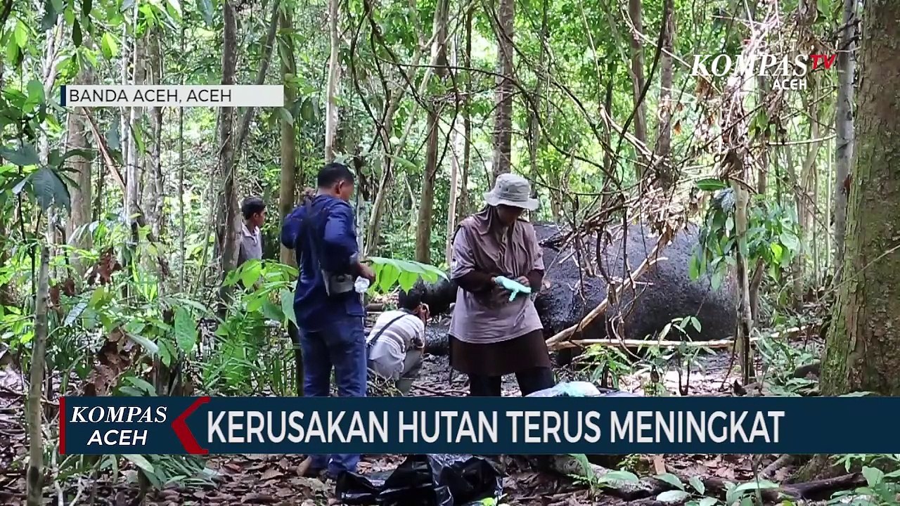 Eksploitasi Tambang Marak Dilakukan di Tujuh Kabupaten Kota di Aceh - Video Dailymotion