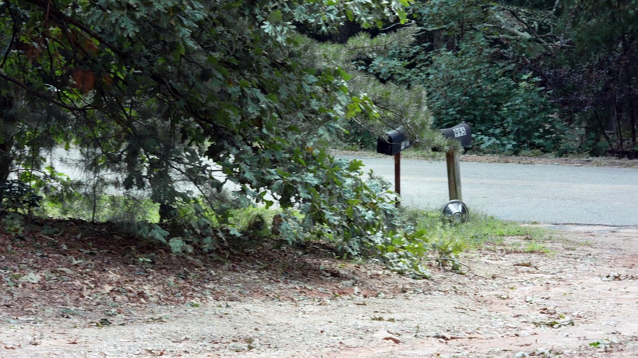 Hubcap | movie | 2023 | Official Trailer - video Dailymotion