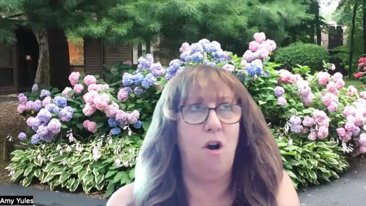 The Lost Candy Bar | What Was Wazoo? - video Dailymotion