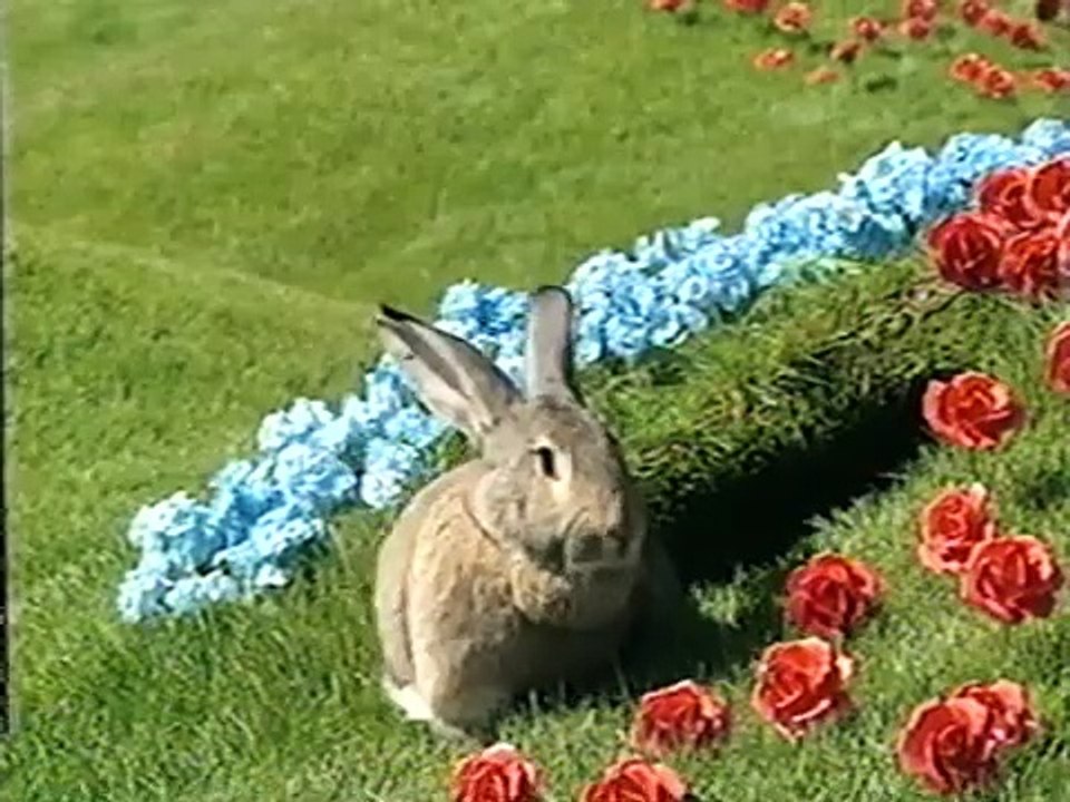 Teletubbies - Bedtime Stories & Lullabies (2000 VHS) - video Dailymotion