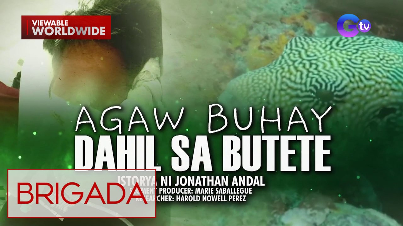 Mangingisda sa Bohol, agaw-buhay matapos kumain ng butete or puffer ...