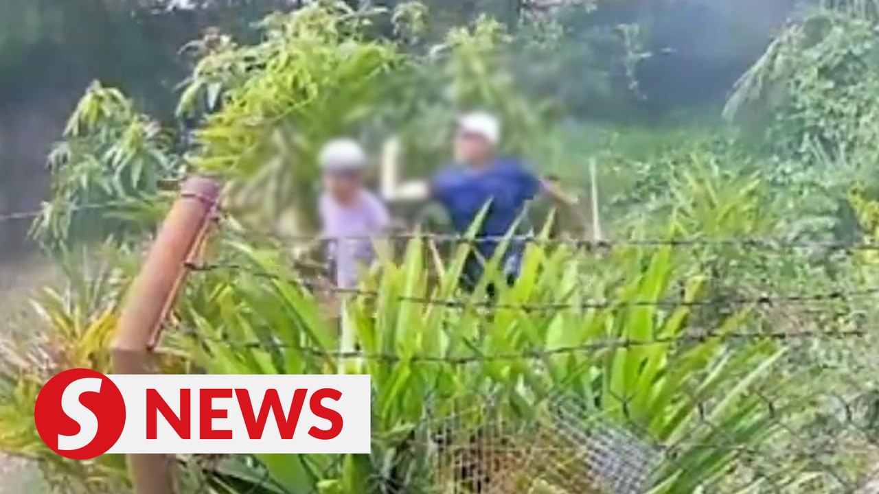 Melaka man nabbed for beating up elderly neighbour - video Dailymotion