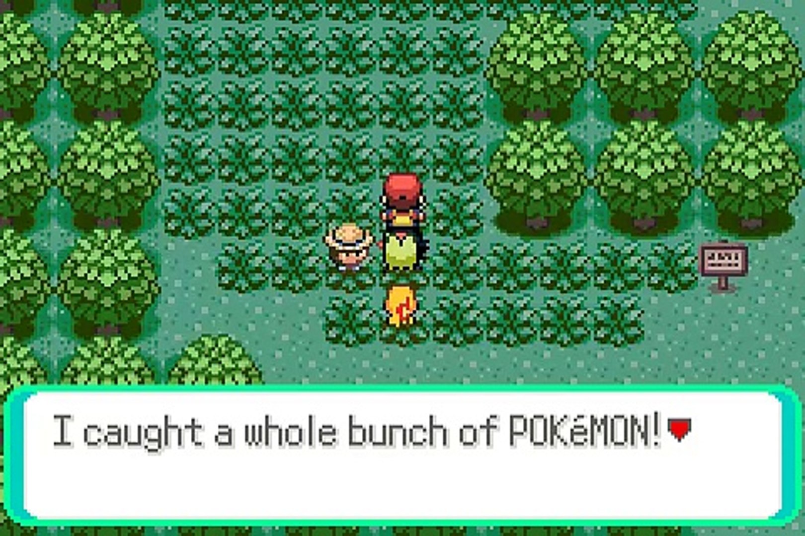 Play Pokemon Games - Emulator Online - verloop.io