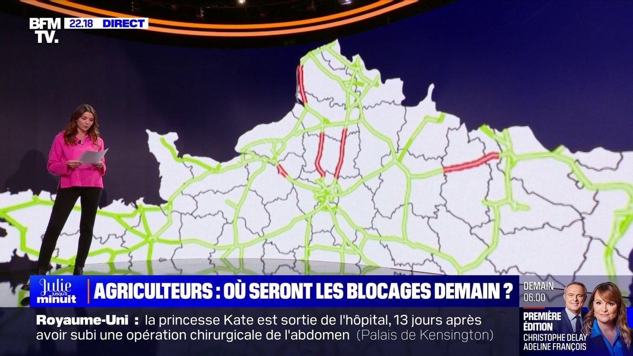 Lisa Hadef sur BFM (29/01/2024) - Vidéo Dailymotion