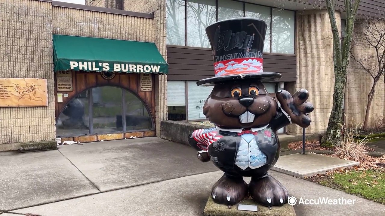 Meet the man who takes care of Punxsutawney Phil - video Dailymotion