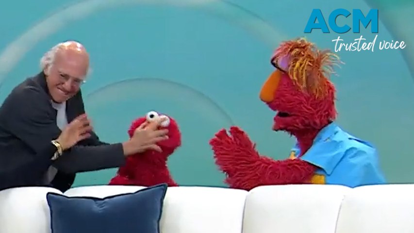 Larry David attacks Elmo live on TV | Newcastle Herald | Newcastle, NSW