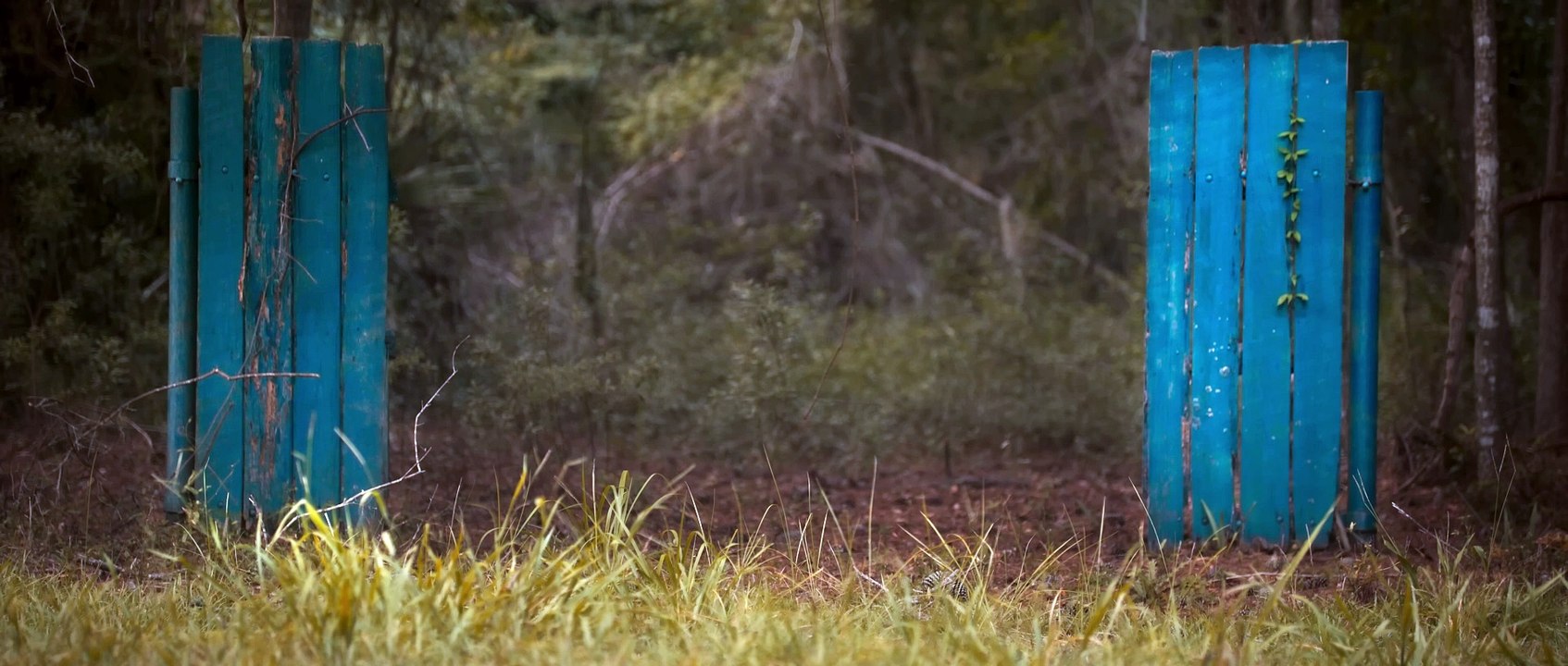 The Geechee Witch: A Boo Hag Story | movie | 2024 | Official Trailer ...